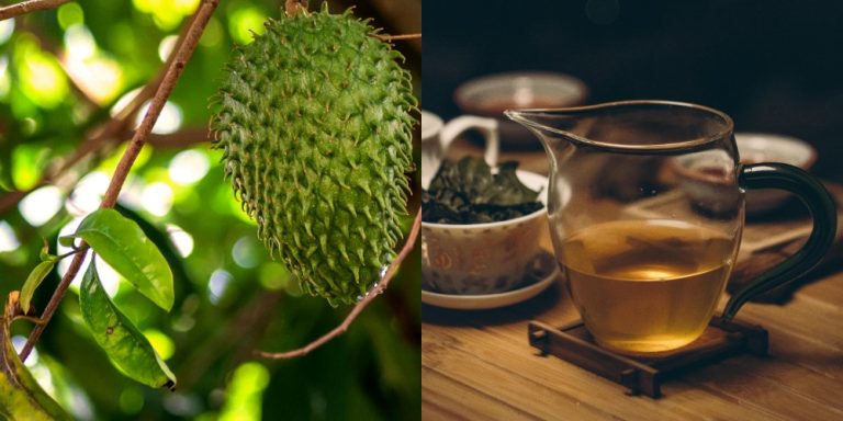 Soursop Tea Guide: How to Brew, Drink, Is It Safe Daily